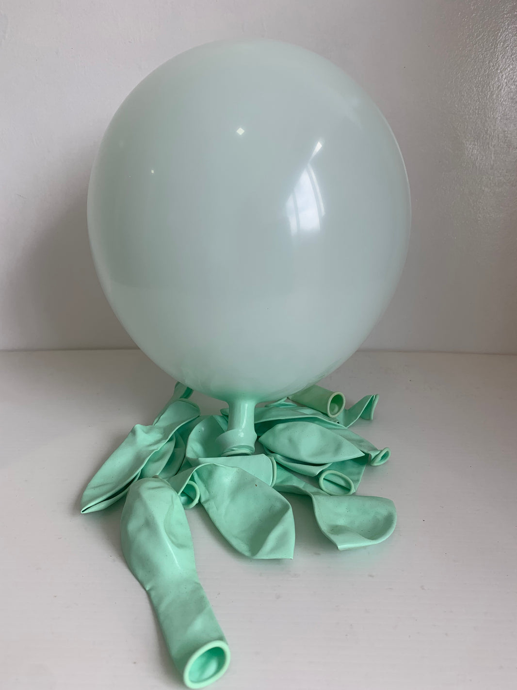 Pastel Balloons – Jiggles Party Store