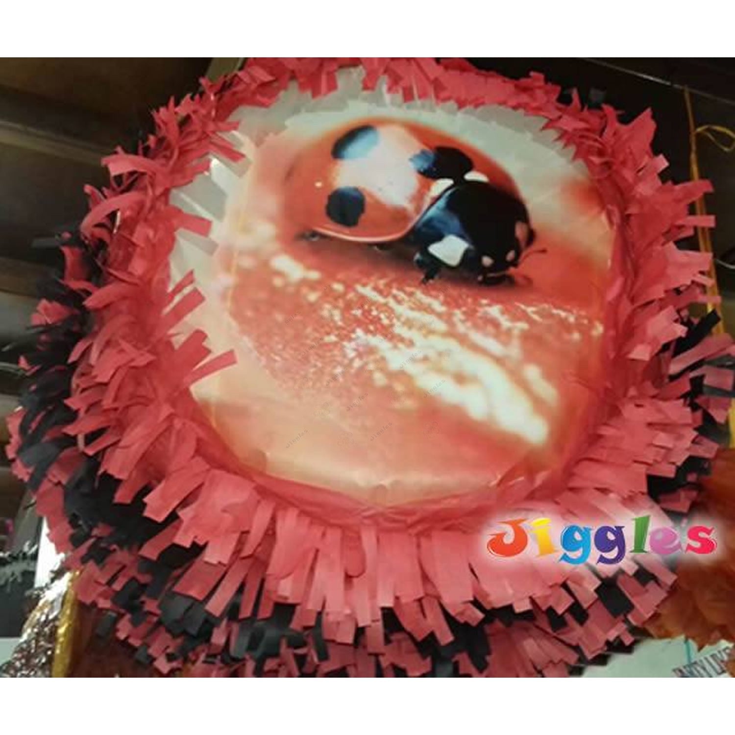 Lady Bird (Bug) Pinata – Jiggles Party Store