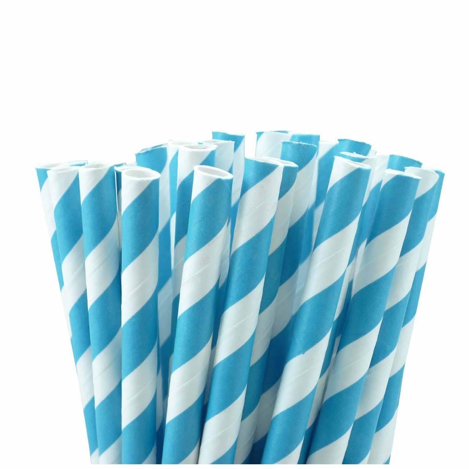 Light Blue Stripe Paper Straw – Jiggles Party Store